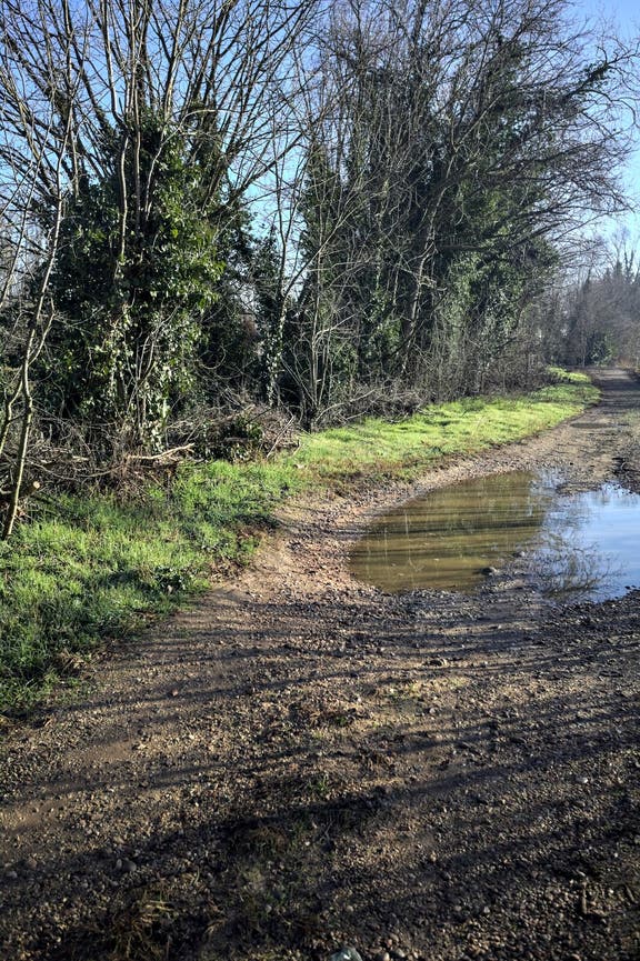 Dirt path with puddles stock photo. Image of leaf, countryside - 304055122
