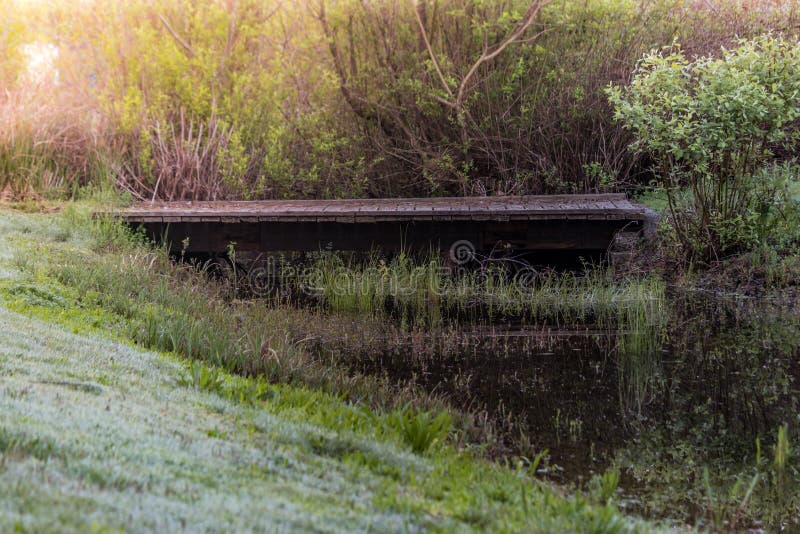 Dirt Path Runs between Forest and Field Stock Image - Image of park ...