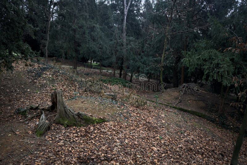 Dirt Path in the Shade Under the Trees in a Park on a Cloudy Day Stock ...