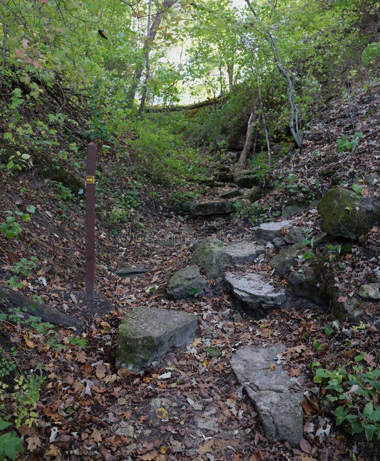 A Dirt Path Strewn with Granite Rocks, Covered in Moss and Fallen Leaves, in a Forest, on the ...