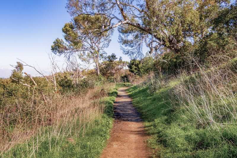 Nature Trail Lined with Greenery and Open Environment in a Beautiful ...