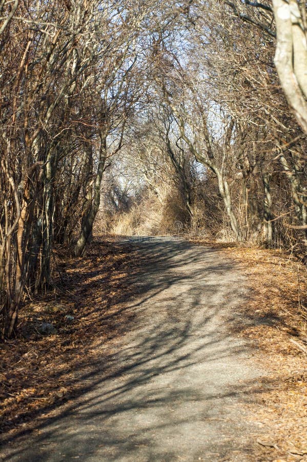 Dirt path in winter stock photo. Image of path, curving - 63367158