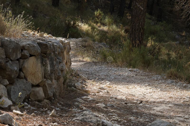 Dirt Path in the Woods with a Small Retaining Wall of Stacked Rocks ...