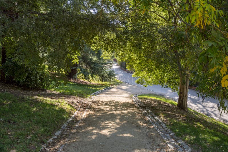 Views of an Urban Street with Low-rise Buildings and Some Vehicles ...