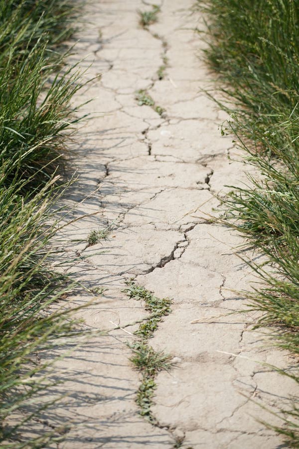 Dirt Pathway Located between a Grassy Field and a Sandy Area Stock ...