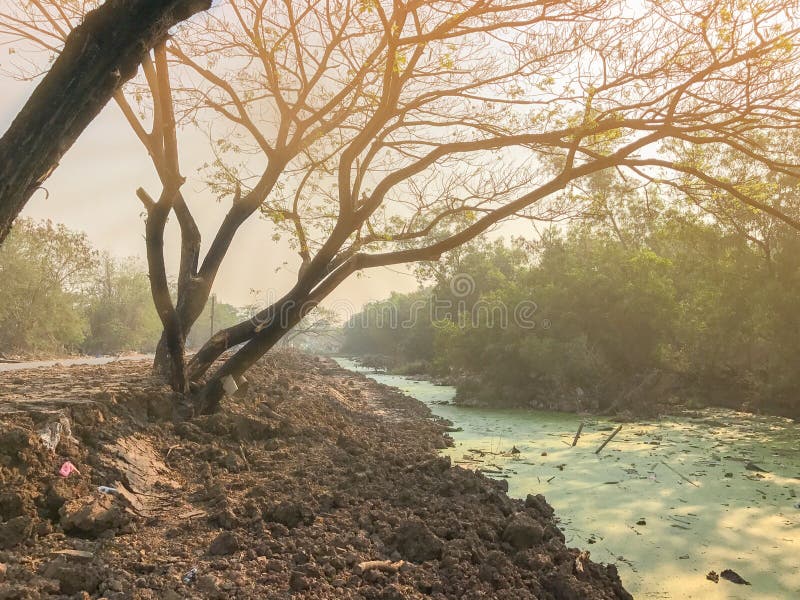 Dirt Pile in Construction Site Stock Photo - Image of dust, heavy ...