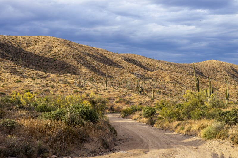 Dirt Road in the Arizona Desert at Spring Time Stock Photo - Image of ...