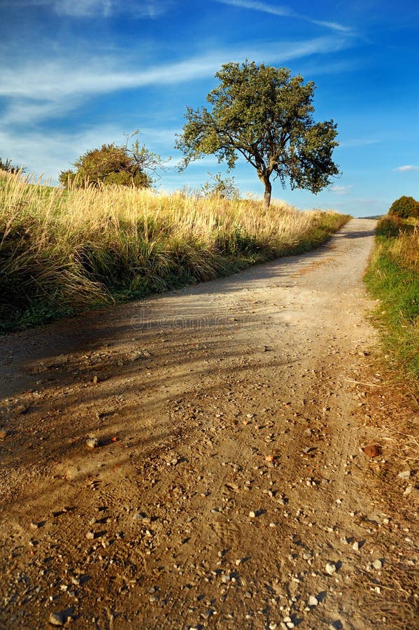 Dirt road stock image. Image of ecology, country, light - 19320371