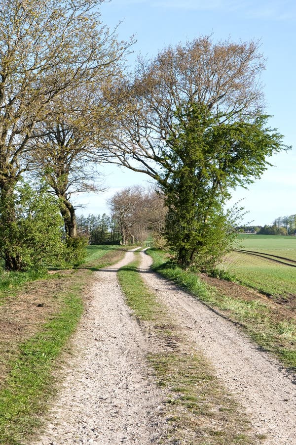 Dirt Road stock image. Image of nature, landscape, line - 28936681