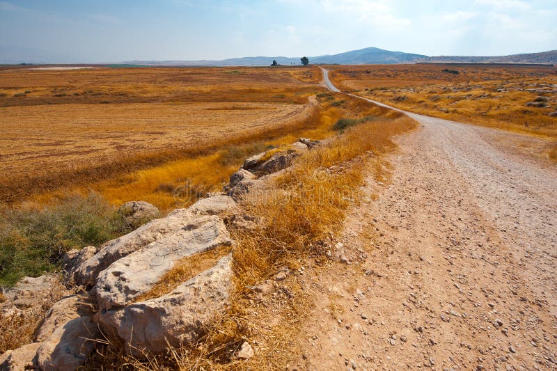Dirt Road stock image. Image of ground, landscape, asia - 28396331