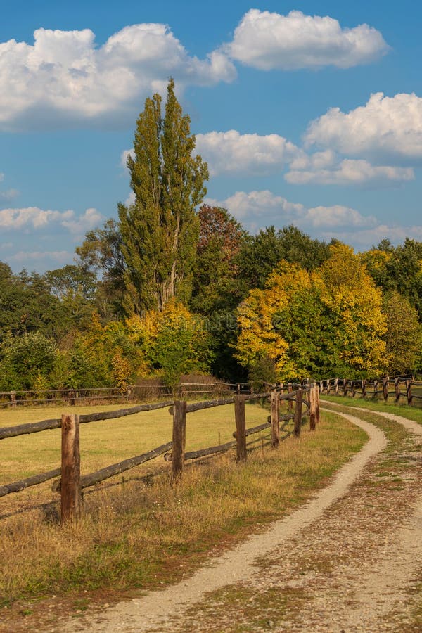 The Dirt Road Around the Horse Corral is Lined with Trees Stock Image ...