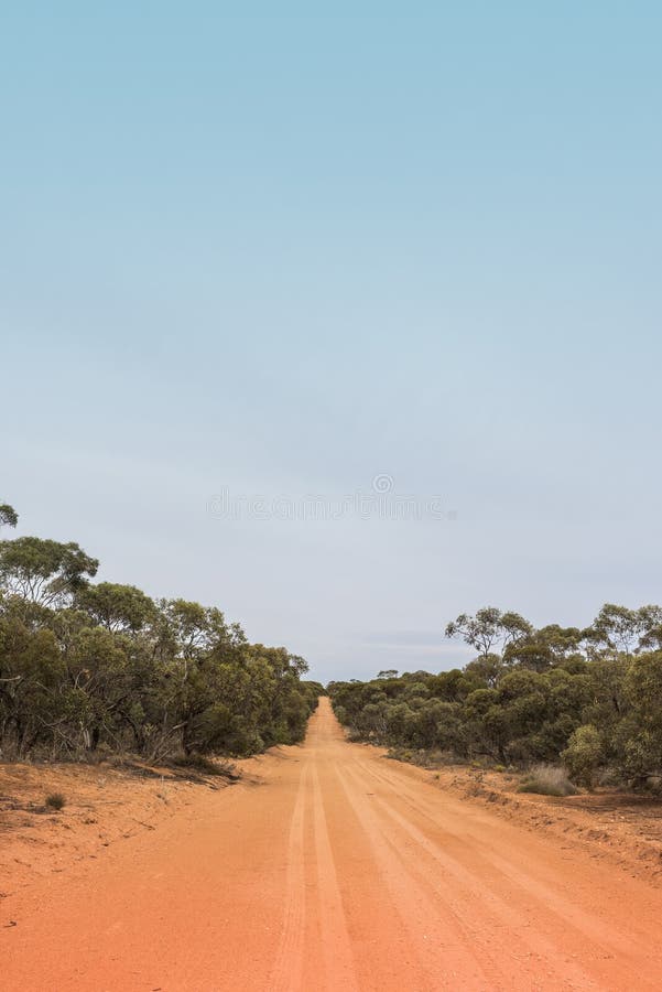 Dirt Road Australia stock image. Image of scenery, gumtrees - 61960507