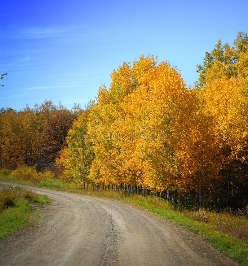 Fall Foliage Colors Border a Dirt Road in the Adirondacks Stock Image ...