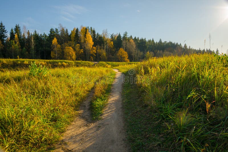 Dirt Road in the Autumn Forest Stock Photo - Image of environment ...