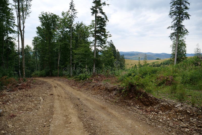 Dirt Road in Beautiful in Carpathian Mountains Stock Image - Image of ...