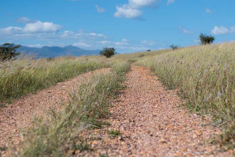 Dirt Road in the Countryside with Fields of Grass Stock Photo - Image ...