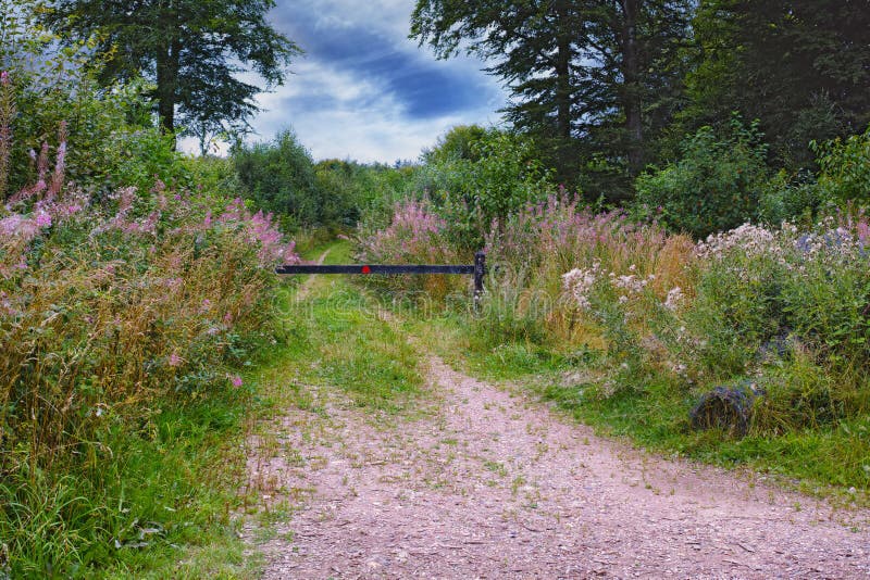 Dirt Road in the Countryside. Dirt Road in Forest in the Countryside ...