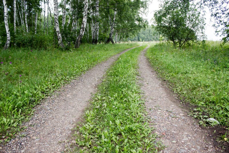 Dirt road stock photo. Image of outdoor, grass, green - 101919326