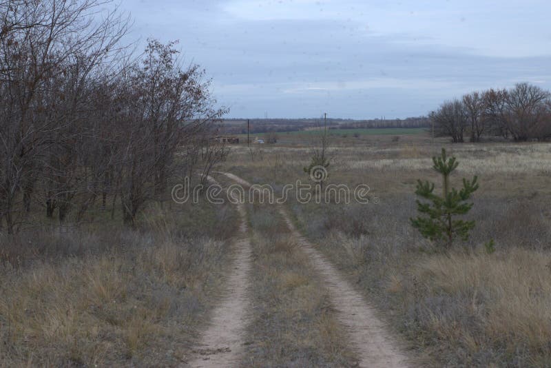 Dirt road stock photo. Image of prairie, dirt, transport - 264432344