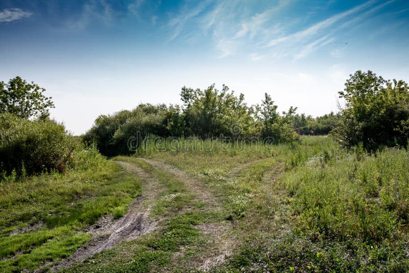 Dirt Road for Driving a Car Across the Field Stock Image - Image of ...