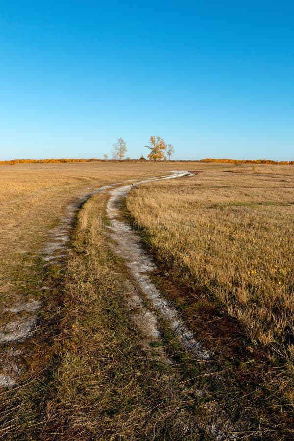 Dirt Road for Driving a Car Across the Field Stock Image - Image of ...