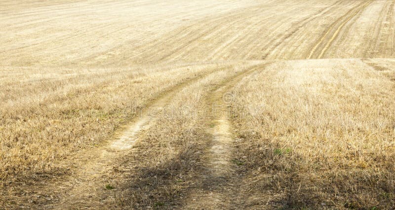 Dirt road in the dry field stock photo. Image of beige - 149328564