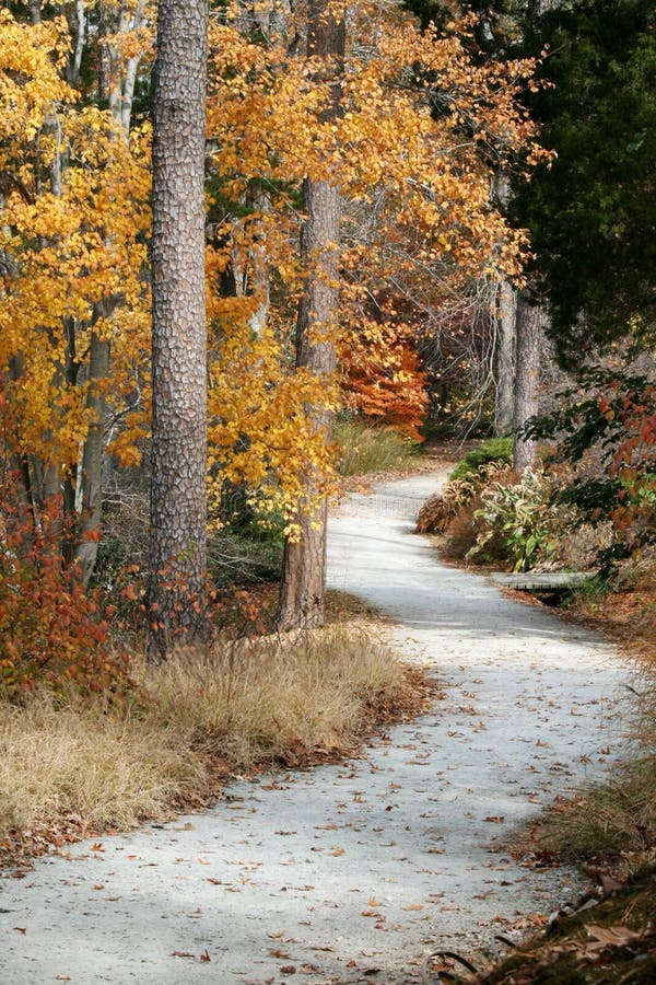 Dirt road in fall stock image. Image of footpath, dirt - 4367353