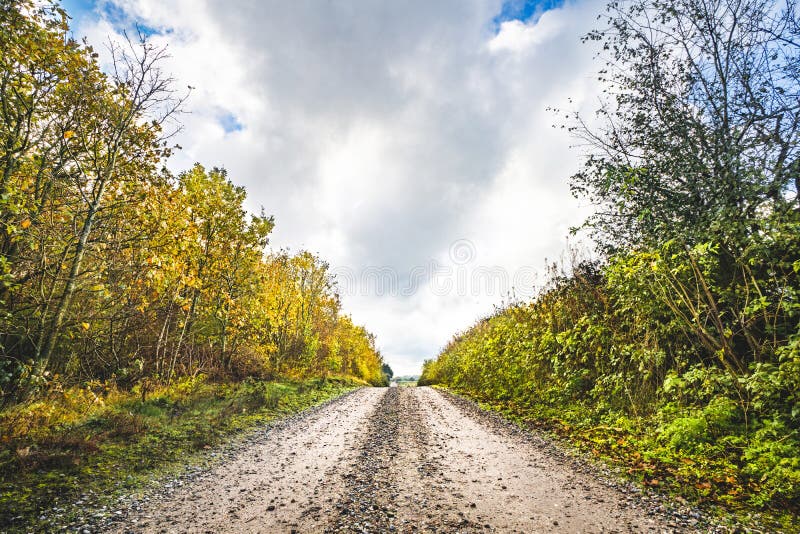 Dirt Road in the Fall with Tree in Autumn Colors Stock Photo - Image of ...