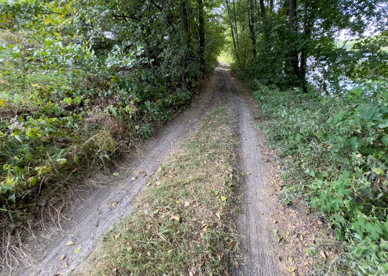 A Dirt Road with a Few Trees in the Background Stock Photo - Image of ...
