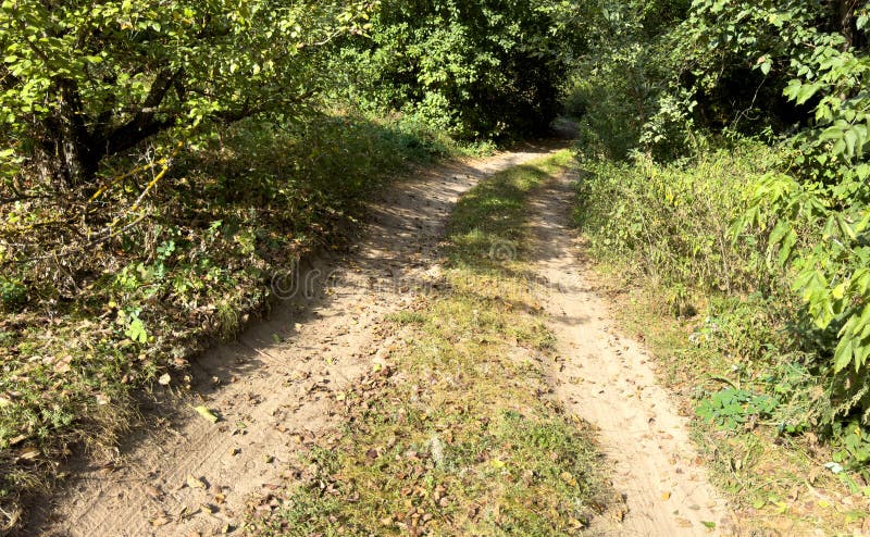 A Dirt Road with a Few Trees in the Background Stock Image - Image of ...