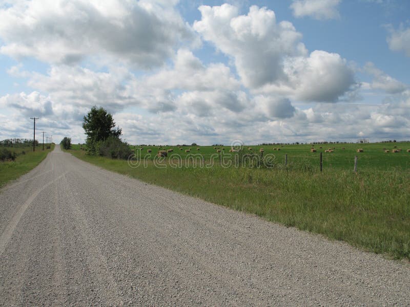 Dirt road through a field stock image. Image of horizontal - 5402781