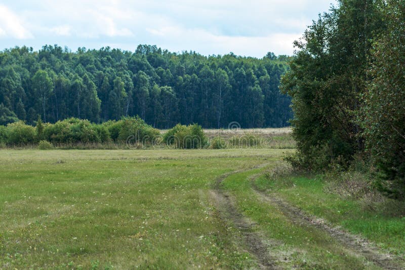 Dirt Road in a Field Near a Forest Stock Photo - Image of season ...