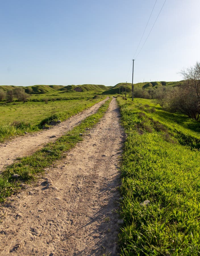 Dirt Road in a Field in Spring Stock Image - Image of nature, field ...