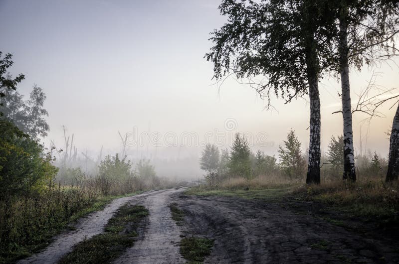 Road through the fog stock image. Image of green, tree - 132277989