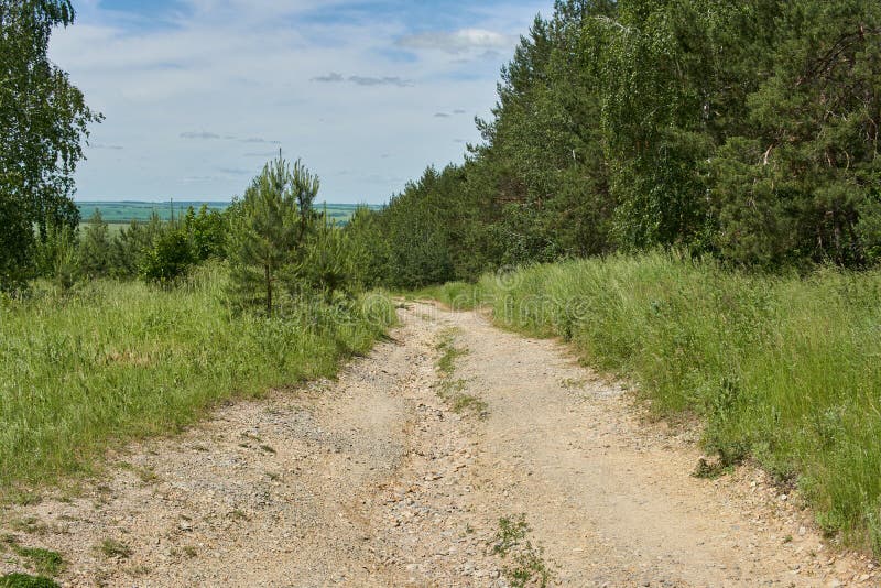 The dirt Road stock photo. Image of track, dirt, wood - 187058252
