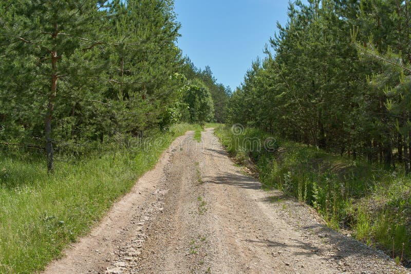 The dirt Road stock image. Image of nature, blue, meadow - 187058673