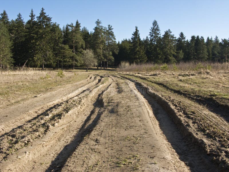 Dirt road in forest stock photo. Image of land, grow, agriculture - 9575986