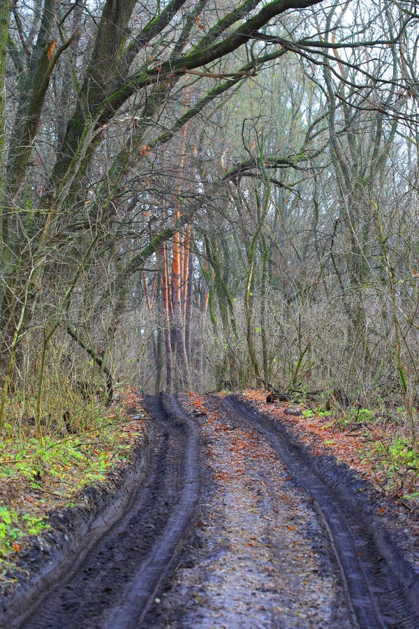 Rural roads stock photo. Image of fresh, dark, crossroads - 15921334