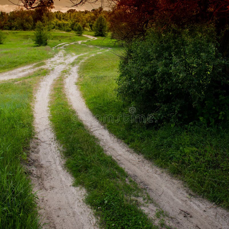 Dirt road in the forest stock image. Image of country - 76770931