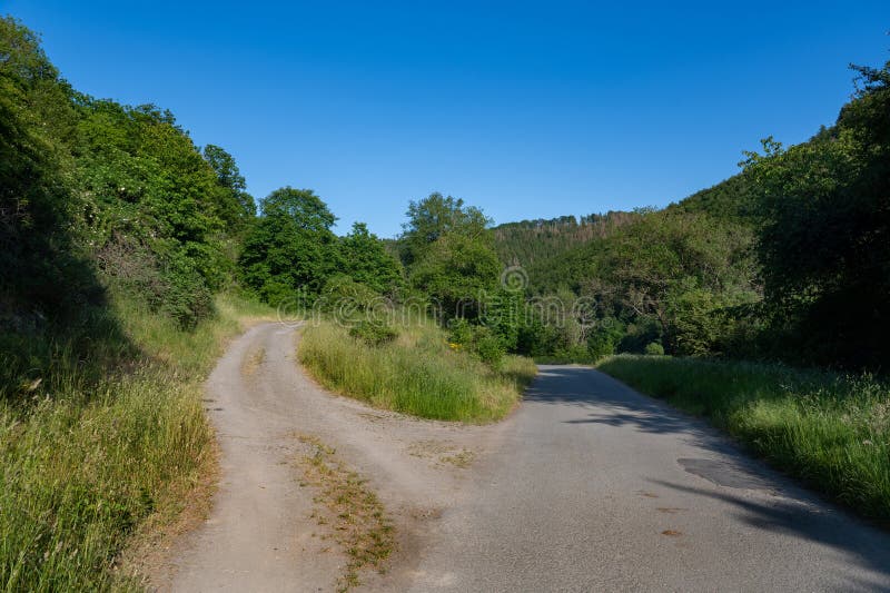 Dirt Road through a Forest with a Fork Stock Photo - Image of landscape ...