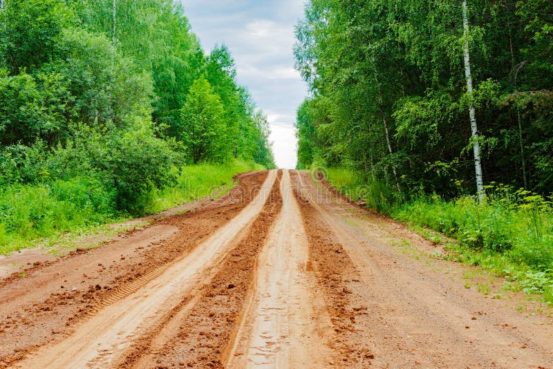 Dirt road in the forest stock image. Image of pits, dirt - 74592699