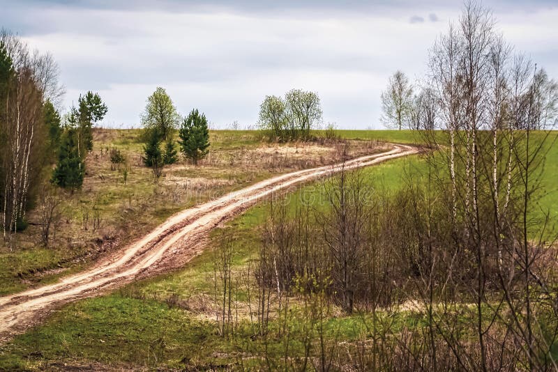 Dirt road in the forest stock image. Image of drive - 244982943