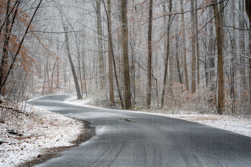 Dirt Road in Forest in Snowfall Stock Photo - Image of nature, season ...