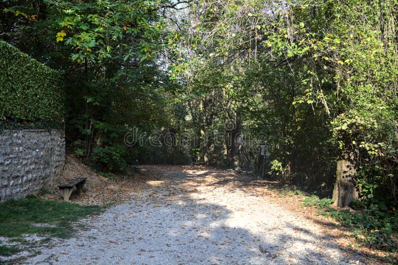Dirt Road in a Forest with a Stone Wall and a Bench by Its Edge Stock ...