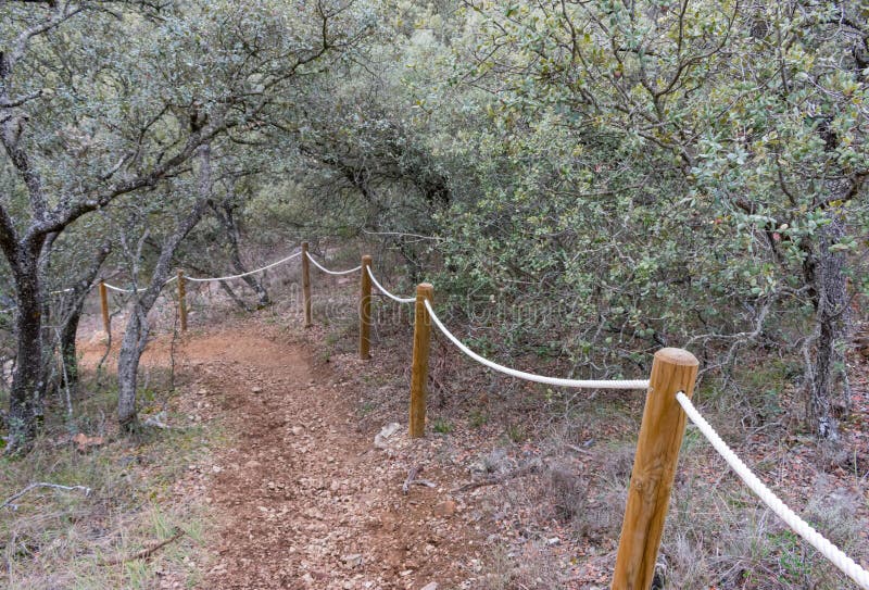 Dirt Road in the Forest with Wooden Stakes and Rope Handrail Stock ...