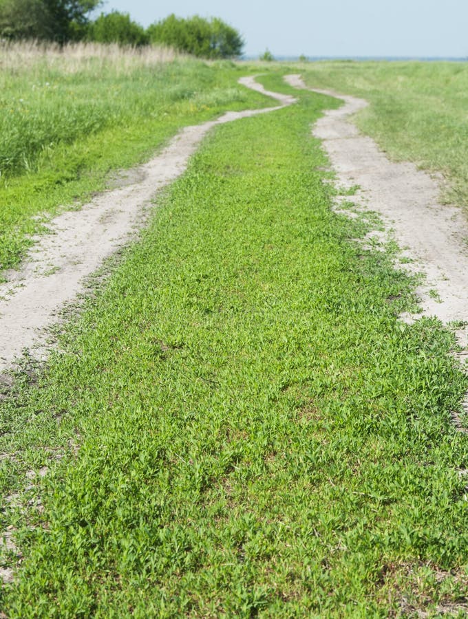 Dirt road stock photo. Image of dirt, trails, grass, earth - 31361126