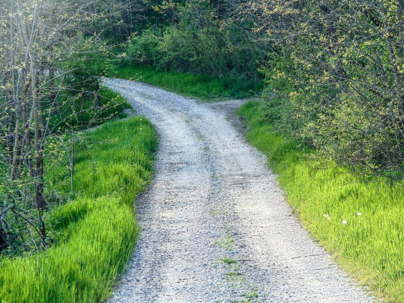Dirt Road and Grass on Its Edge in the Spring - Maramures Stock Image ...