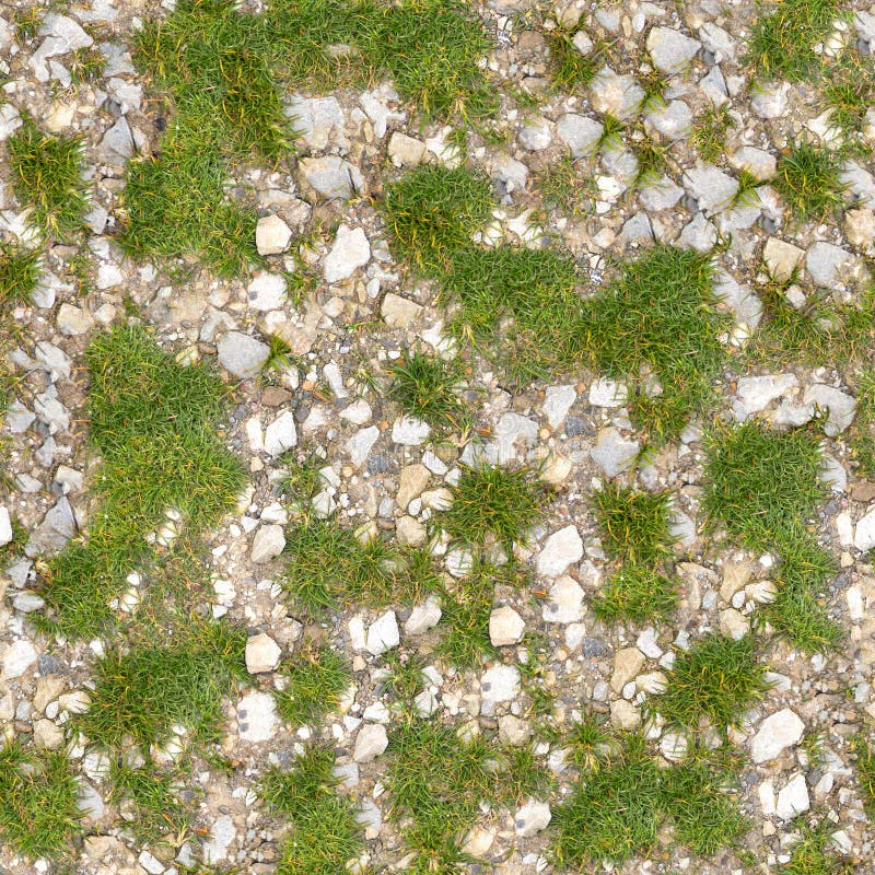Dirt Road Seamless Texture. Stock Image - Image of closedup, pattern ...