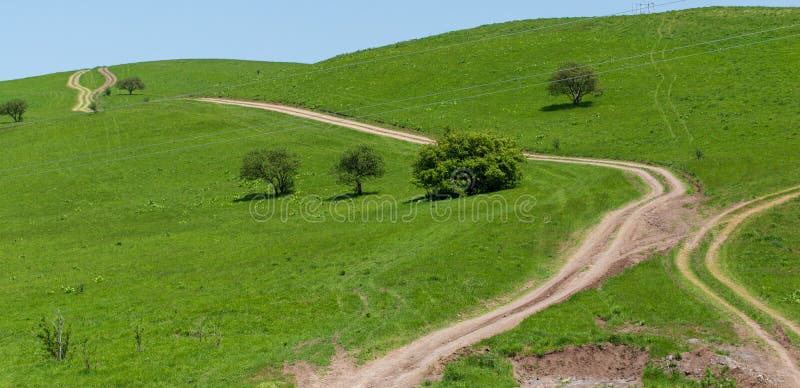 Dirt Road in the Grass in Spring Stock Photo - Image of flora, grass ...