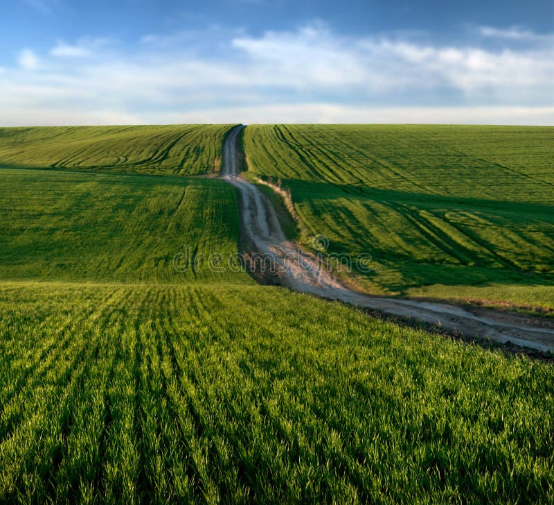 Road in a Green Field of Hills, Landscape Waves Stock Image - Image of ...
